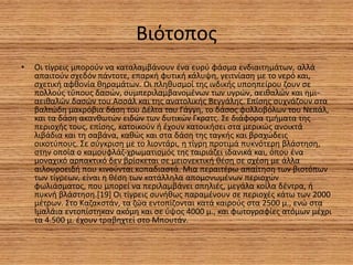 Εργασία για την τίγρη | PPTX