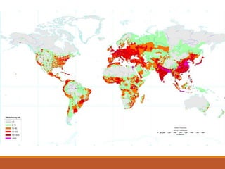 Settlements: Where people live around the world | PPTX