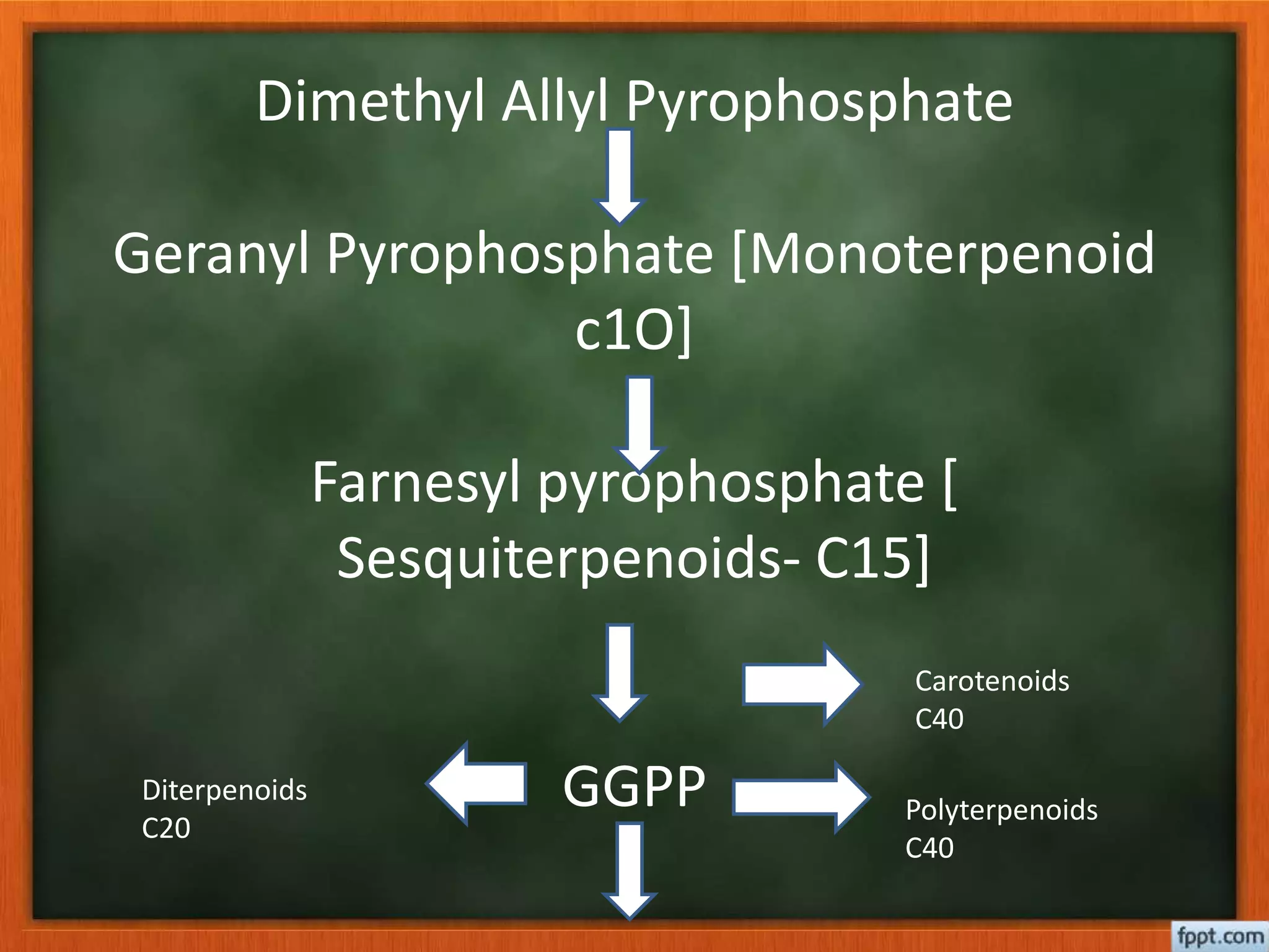 1.Terpenoids introduction | PPTX