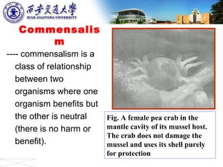 1.general introduction to medical parasitology | PPT