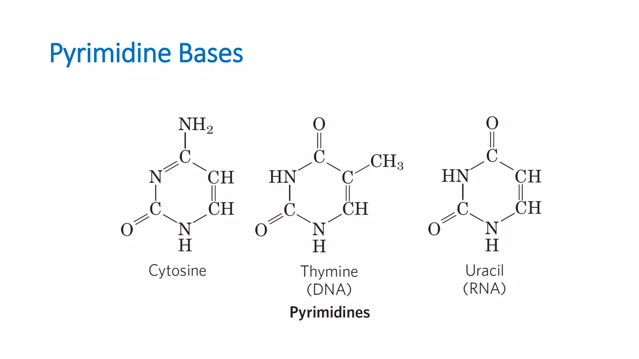Nucleic acids - Introduction | PPTX