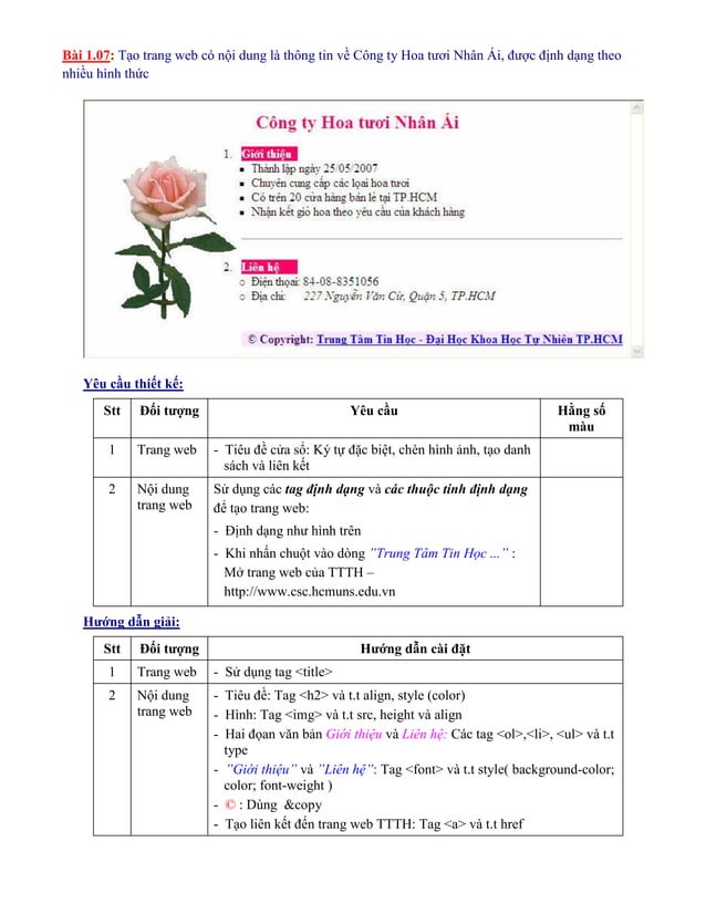 Bài tập HTML/CSS | PDF