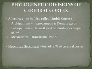 Cortical areas of brain | PPTX | Brain and Nervous System Disorders ...