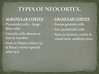 Cortical areas of brain | PPTX