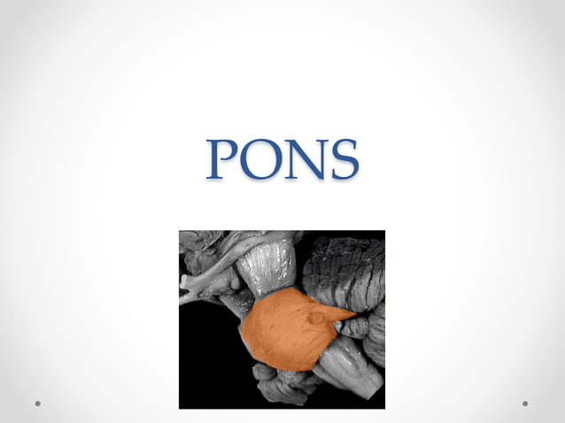 1. pons dr pratik | PPTX