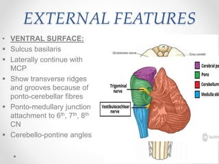 1. pons dr pratik | PPTX