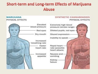 Short-term and Long-term Effects of Marijuana Abuse | PPTX