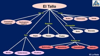 1. mapas conceptuales | PDF