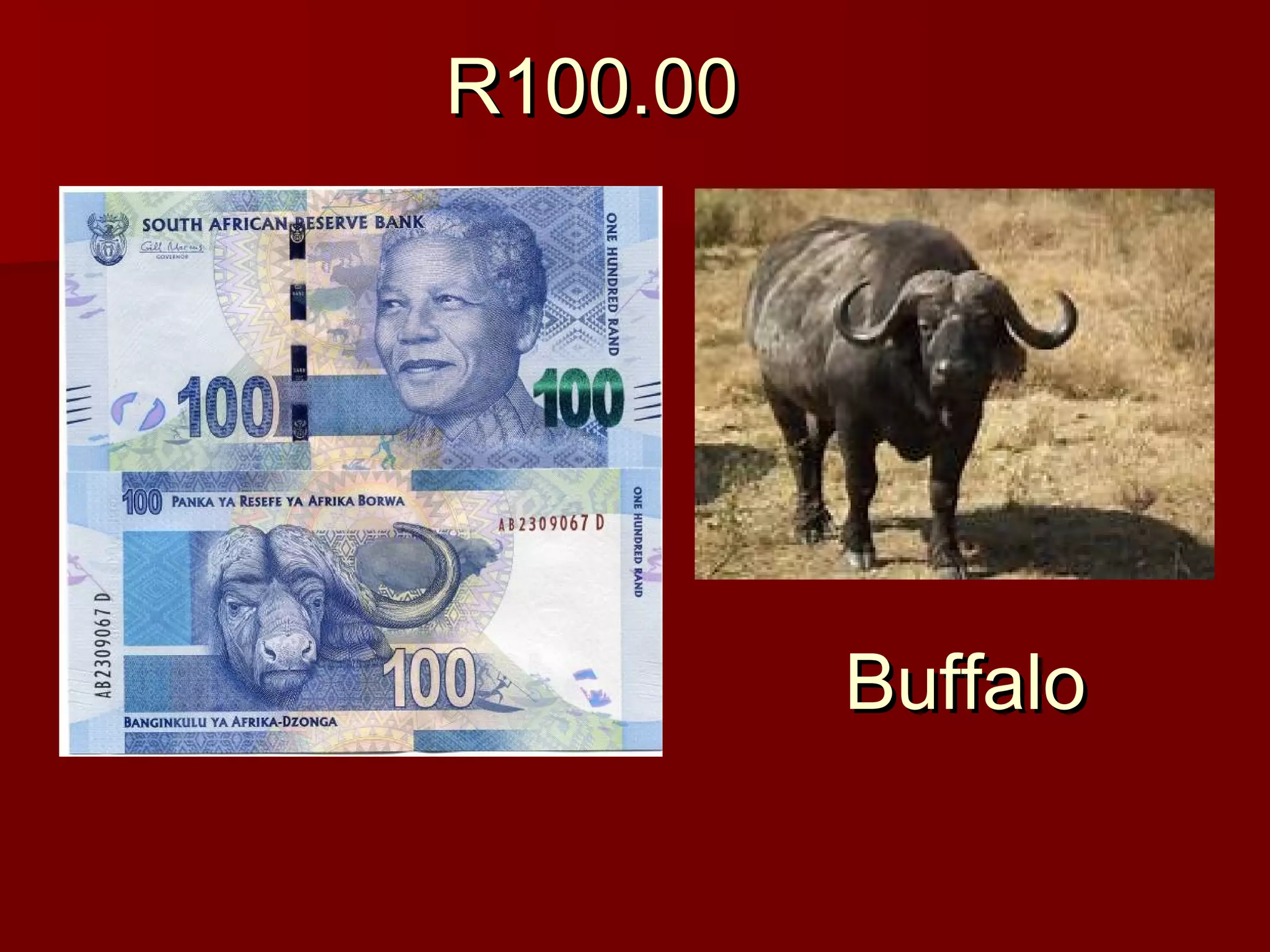 Grade 2 - SA money coins and notes | PPT