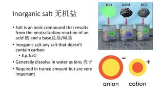 1.2 inorganic salt UEC Senior 1 Biology 独中高一生物 | PPTX