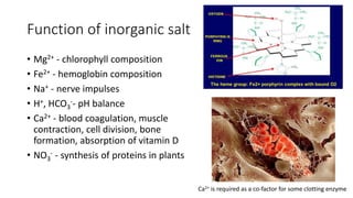 1.2 inorganic salt UEC Senior 1 Biology 独中高一生物 | PPTX