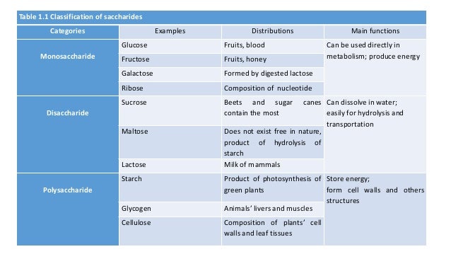 1.3 saccharide UEC Senior 1 Biology 独中高一生物