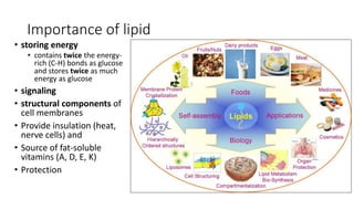 1.4 lipids UEC Senior 1 Biology 独中高一生物 | PPTX