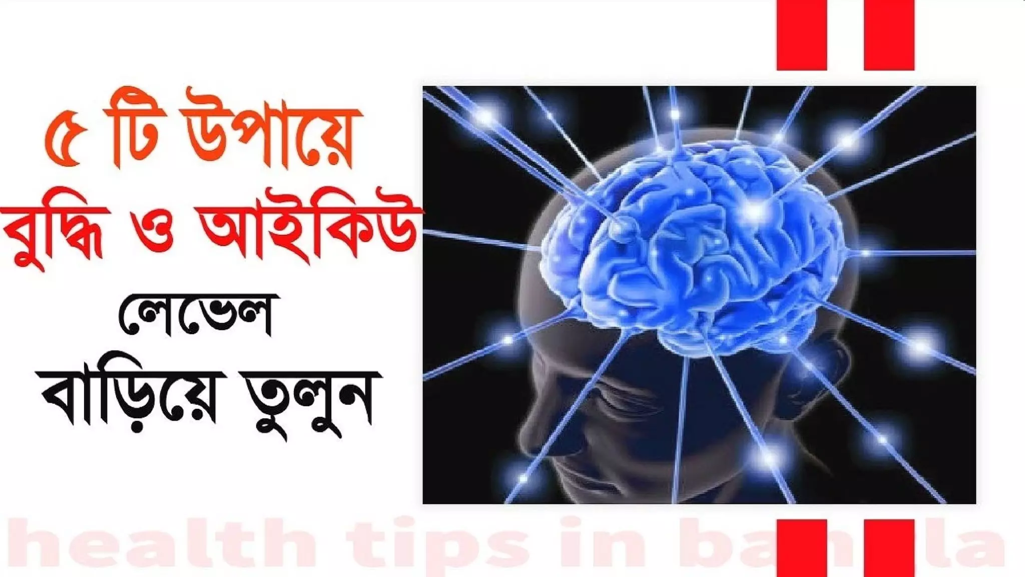 যে ৫ টি উপায়ে বাড়িয়ে তুলুন নিজের বুদ্ধি ও আইকিউ লেভেল ! বাংলা হেলথ ...