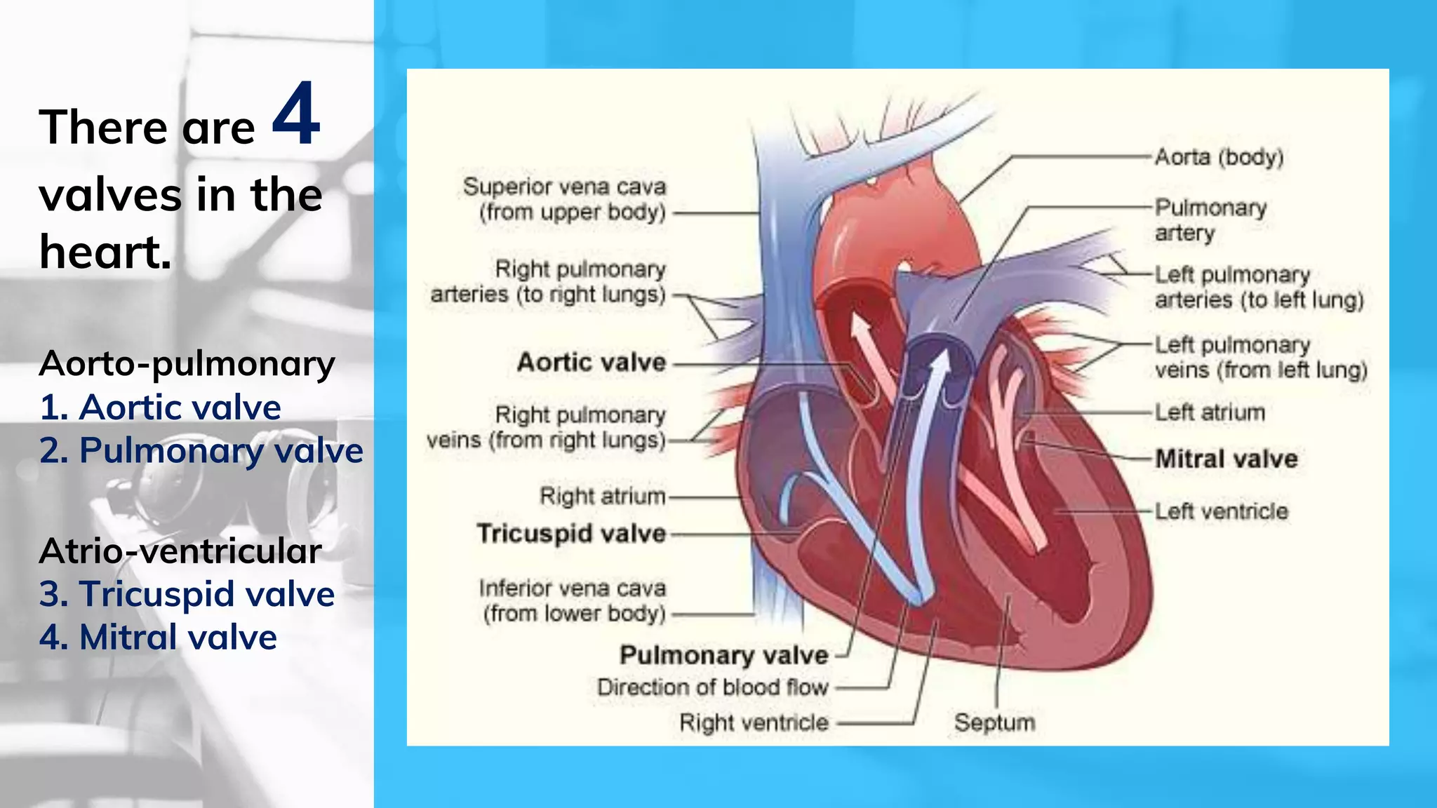Cardiology 1.6. Heart Sounds and Murmurs - by Dr. Farjad Ikram | PPTX