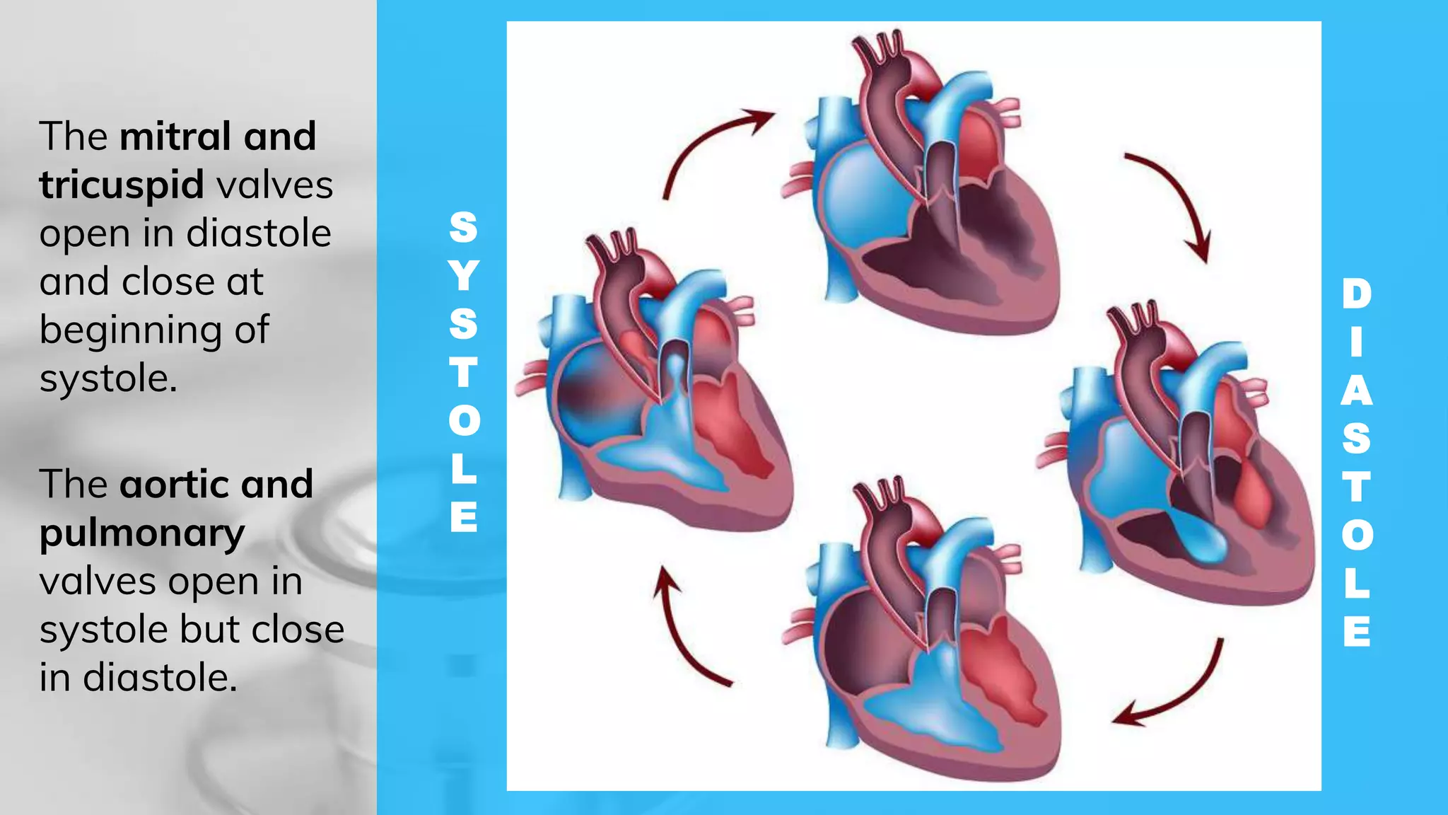 Cardiology 1.6. Heart Sounds and Murmurs - by Dr. Farjad Ikram | PPTX