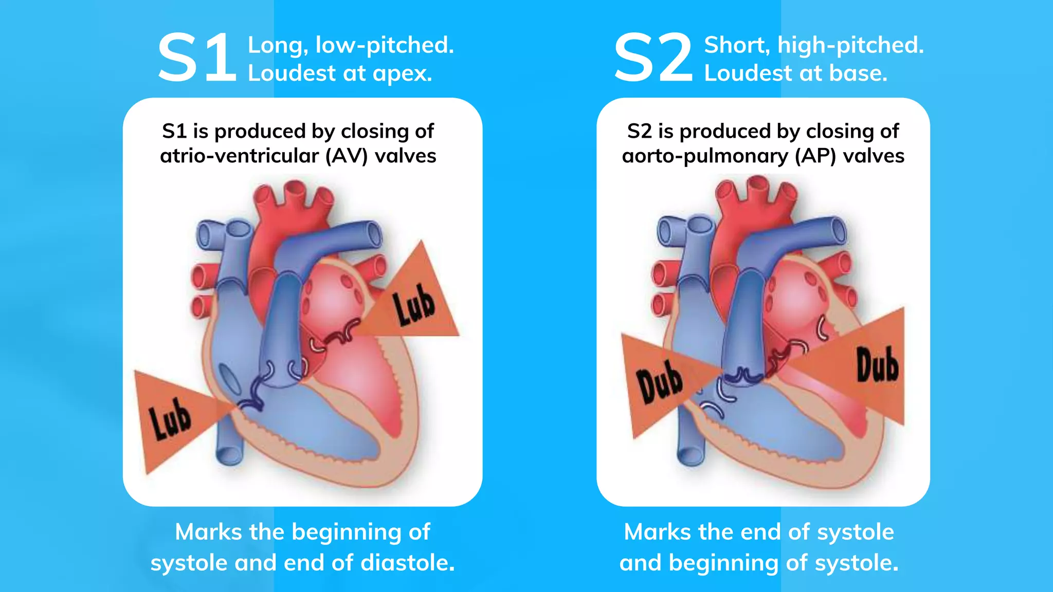 Cardiology 1.6. Heart Sounds and Murmurs - by Dr. Farjad Ikram | PPTX