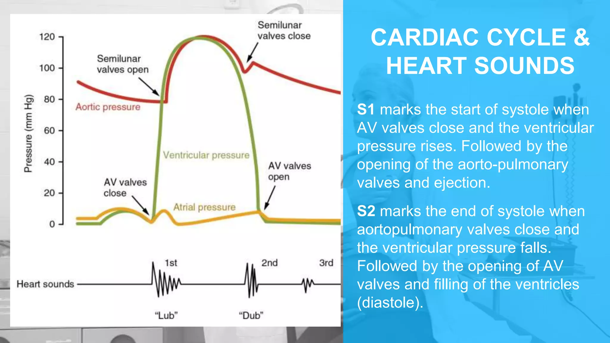 Cardiology 1.6. Heart Sounds and Murmurs - by Dr. Farjad Ikram | PPTX