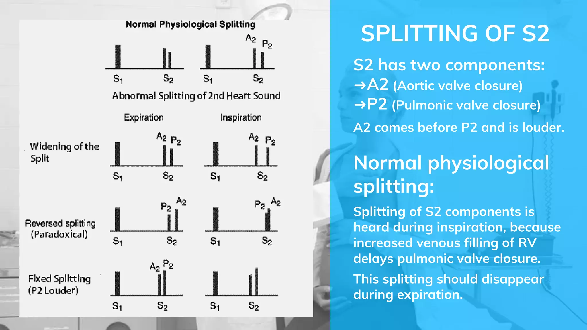 Cardiology 1.6. Heart Sounds and Murmurs - by Dr. Farjad Ikram | PPTX