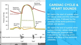 Cardiology 1.6. Heart Sounds and Murmurs - by Dr. Farjad Ikram | PPTX