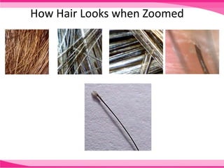 Hair Care | PPT