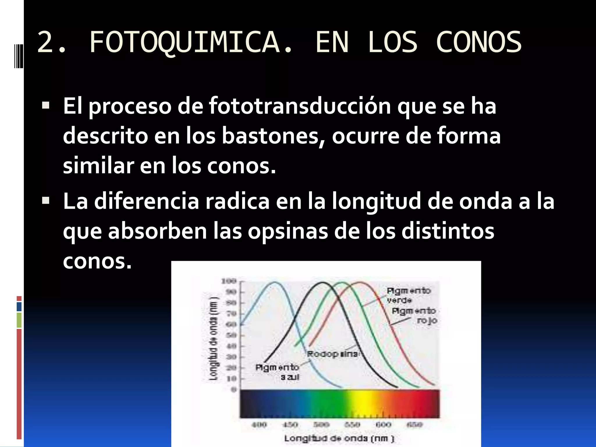 fisiologia de la retina. | PPTX