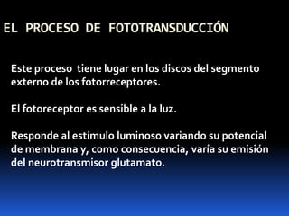 fisiologia de la retina. | PPTX