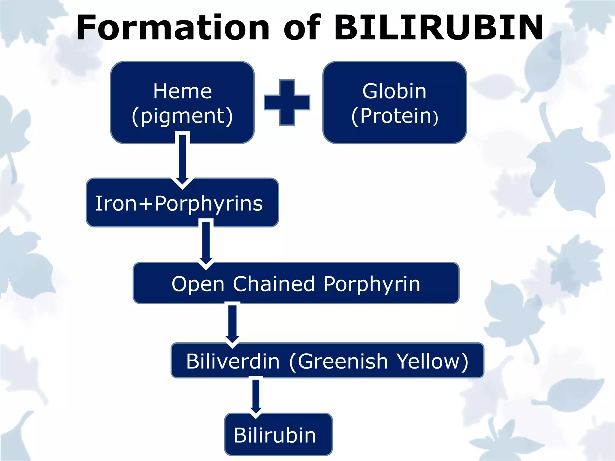 Bile pigments | PPTX