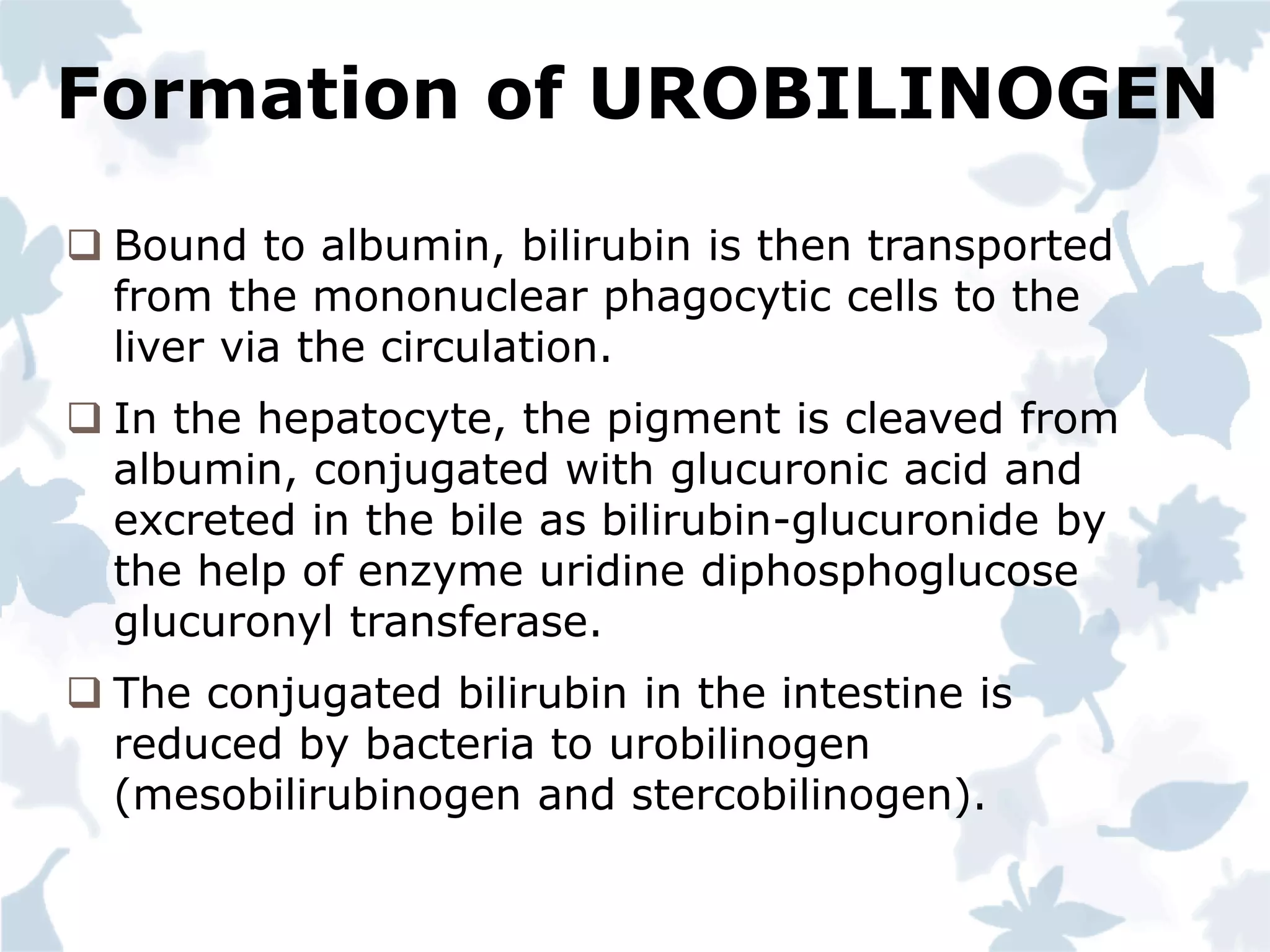 Bile pigments | PPTX