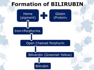 Bile pigments | PPTX