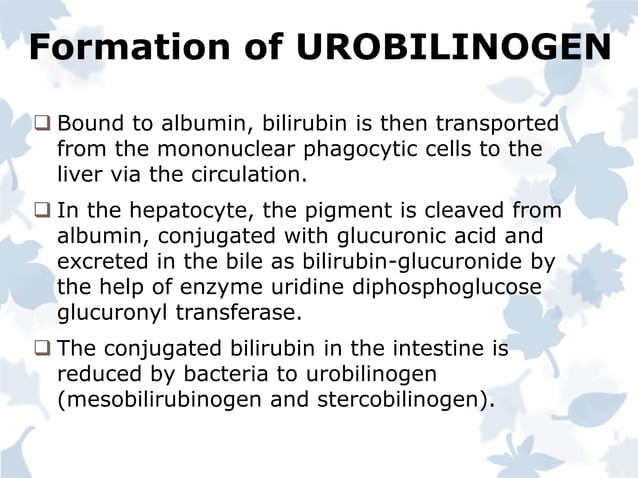 Bile pigments | PPTX