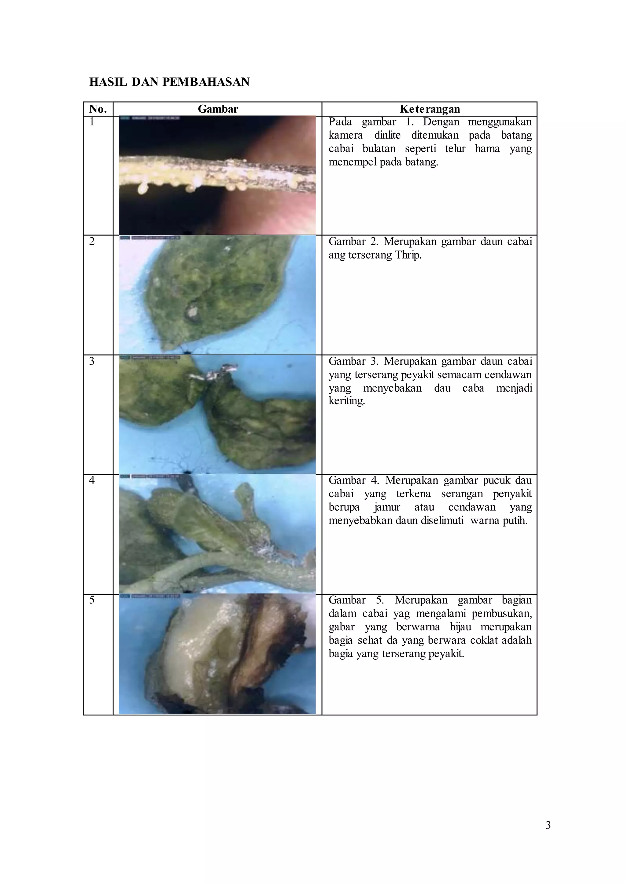 identifikasi gejala serangan hama dan patogen pada tanaman padi dan ...