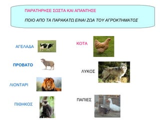τα ζωα του αγροκτηματος (1) | PPT