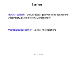 1.introductory lecture | PPTX