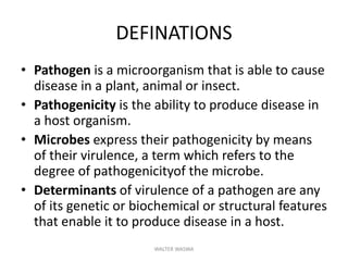 1.introductory lecture | PPT