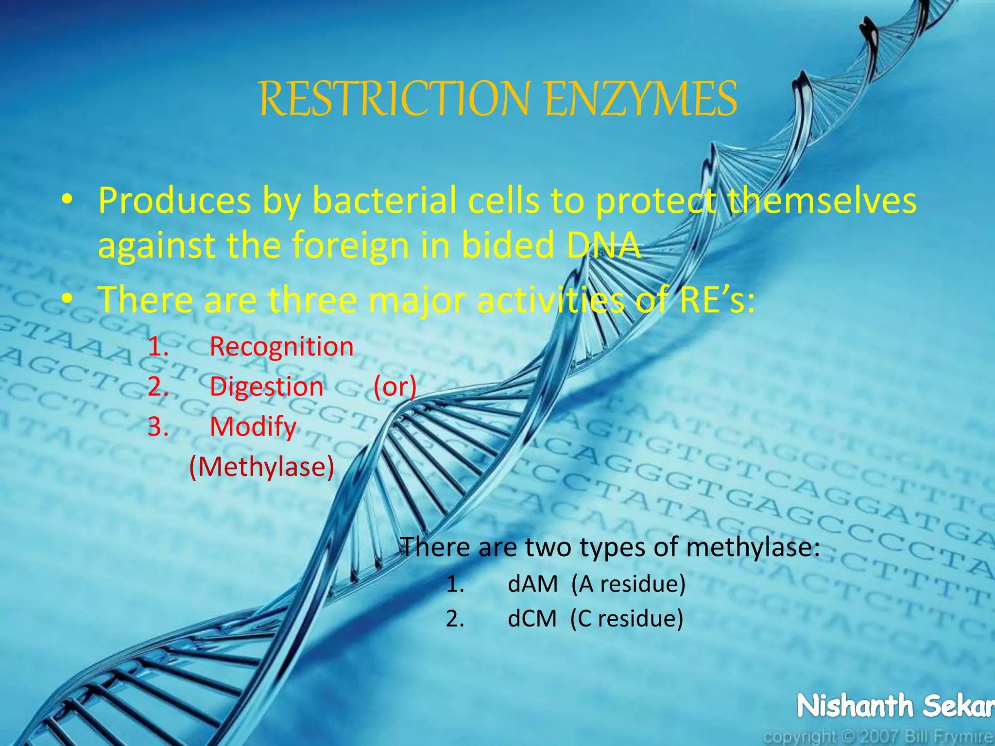 Types of Restriction Endonuclease enzymes | PPTX