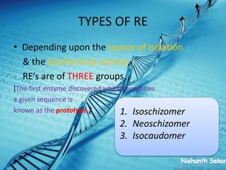 Types of Restriction Endonuclease enzymes | PPTX