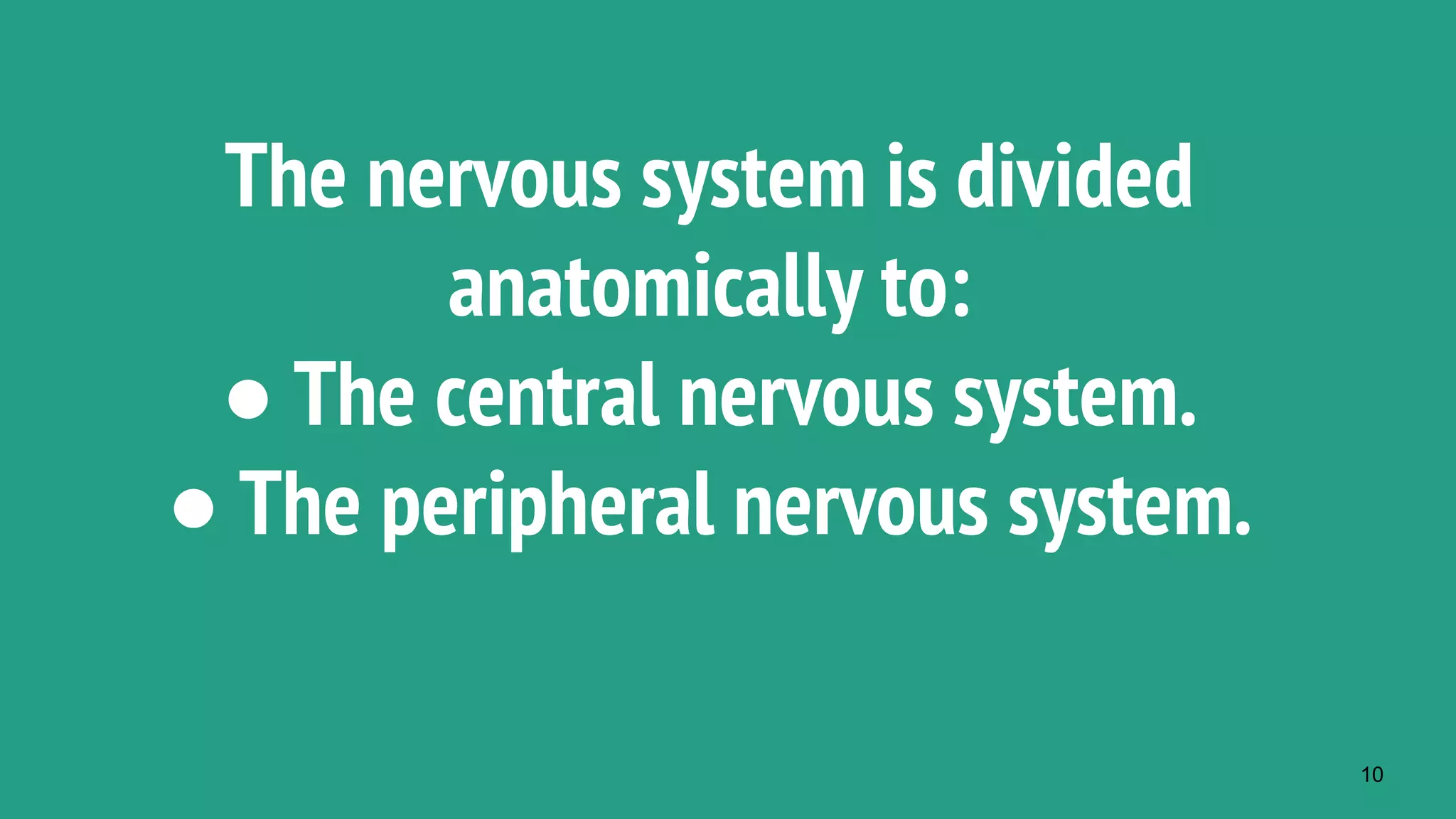 Neuroanatomy | 1. Introduction to Neuroanatomy | PDF