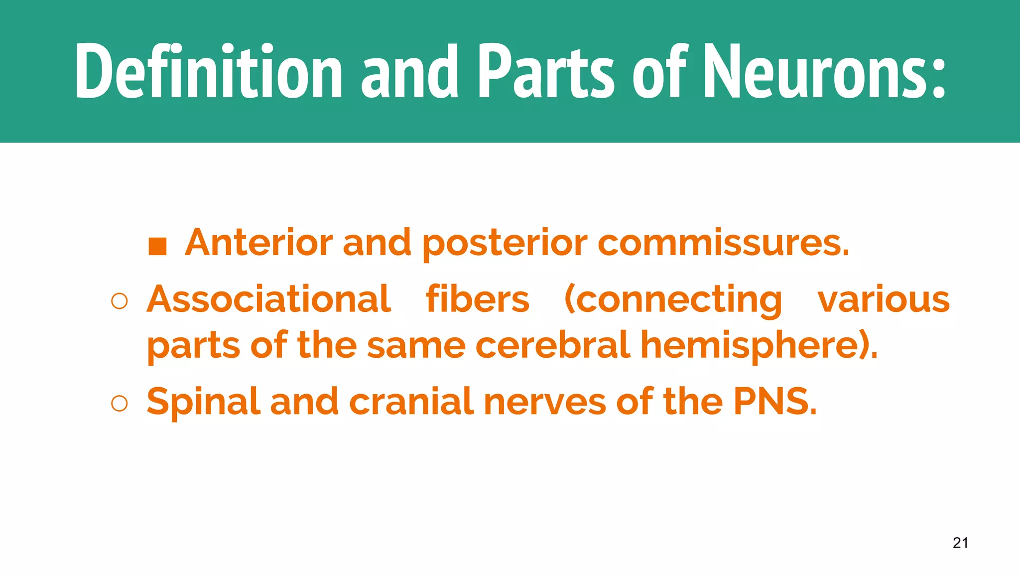 Neuroanatomy | 1. Introduction to Neuroanatomy | PDF