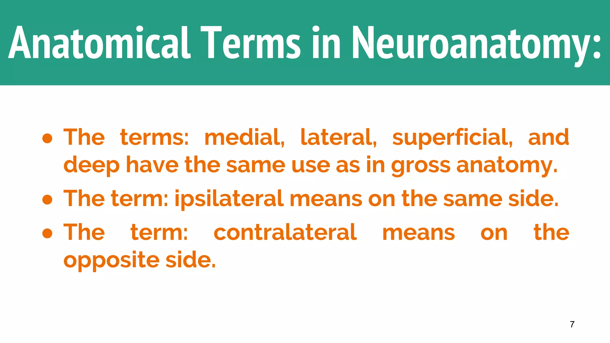 Neuroanatomy | 1. Introduction to Neuroanatomy | PDF