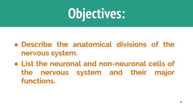 Neuroanatomy | 1. Introduction to Neuroanatomy | PDF