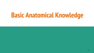 Neuroanatomy | 1. Introduction to Neuroanatomy | PDF