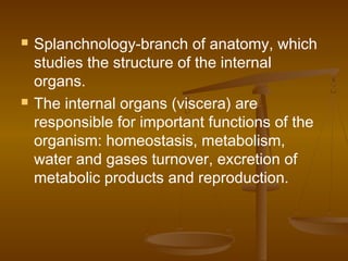 Splanchnology. Digestive System - Part 1 | PPT