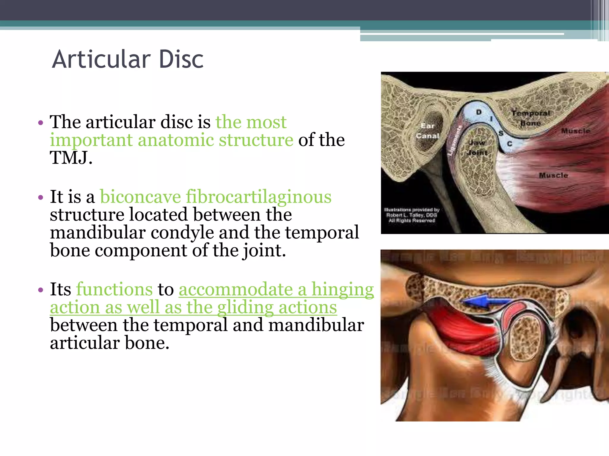 Temperomandibular joint Anatomy | PPTX