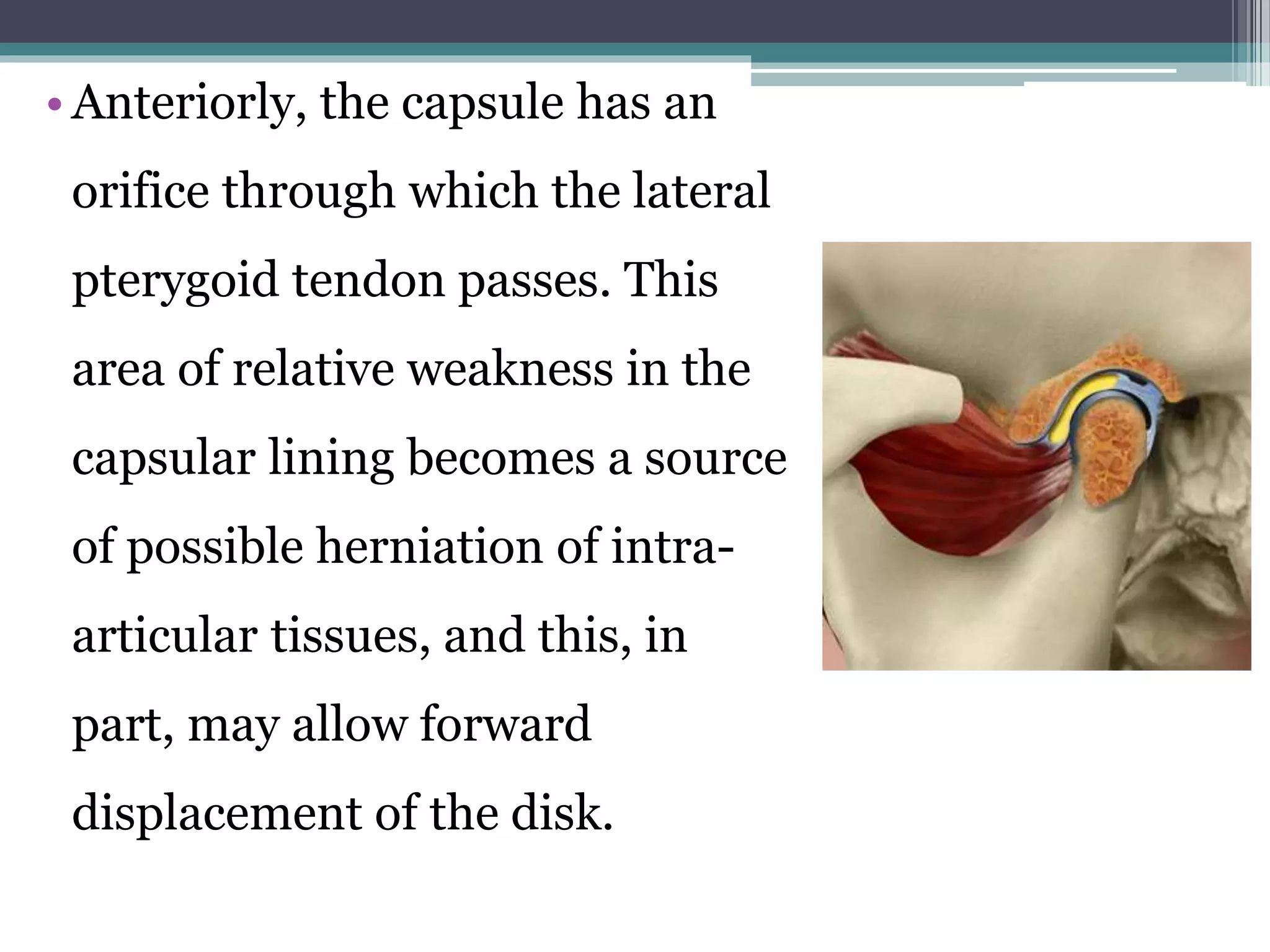 Temperomandibular joint Anatomy | PPTX