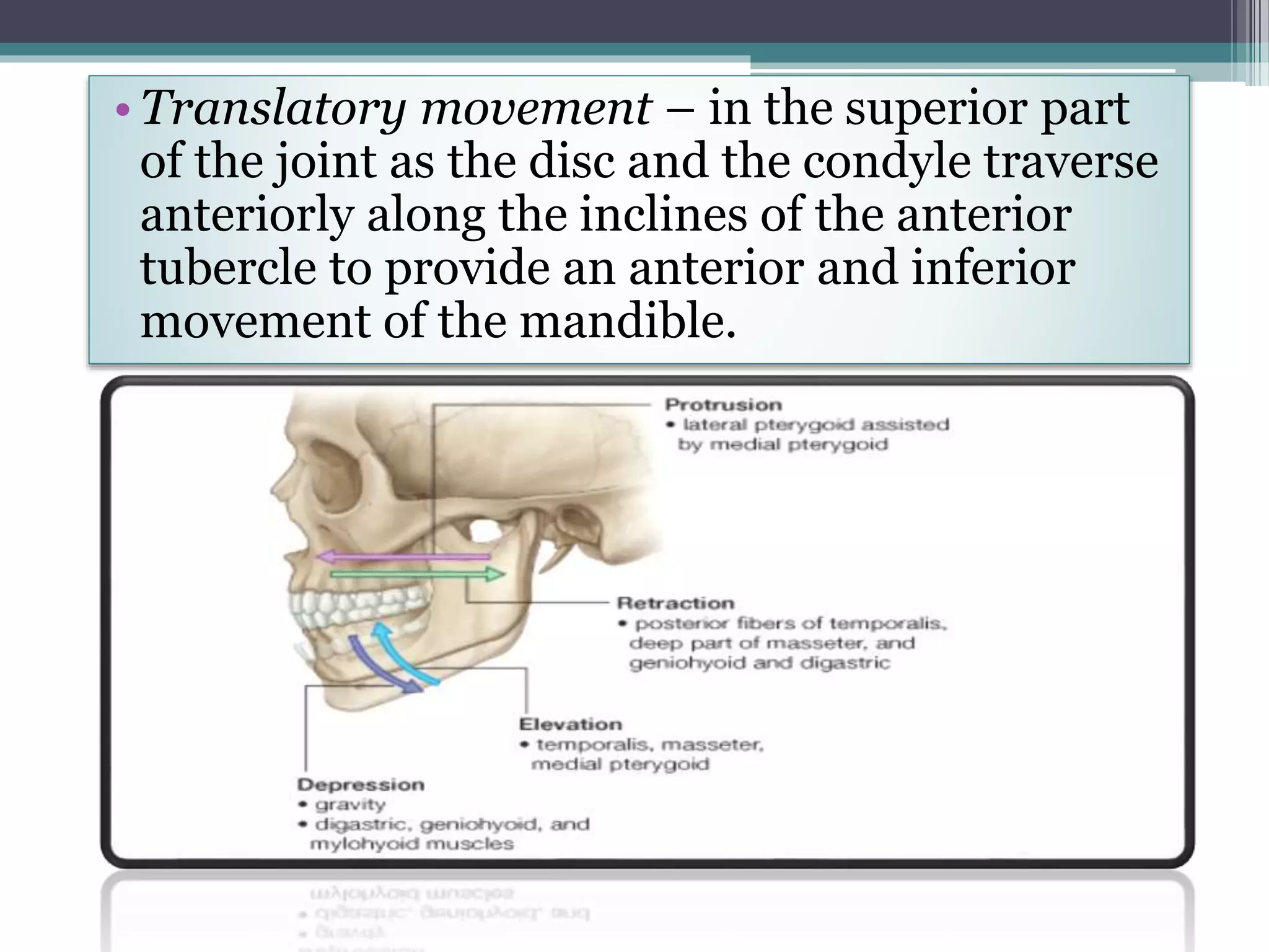 Temperomandibular joint Anatomy | PPTX
