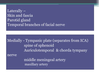 Temperomandibular joint Anatomy | PPTX