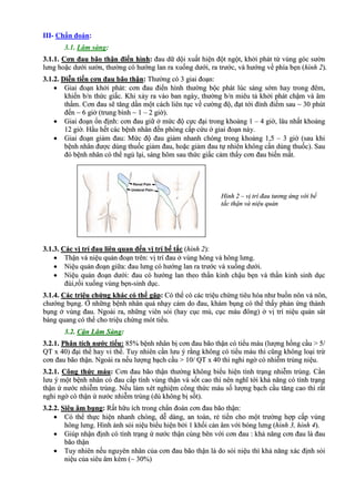 CƠN ĐAU BÃO THẬN | PDF