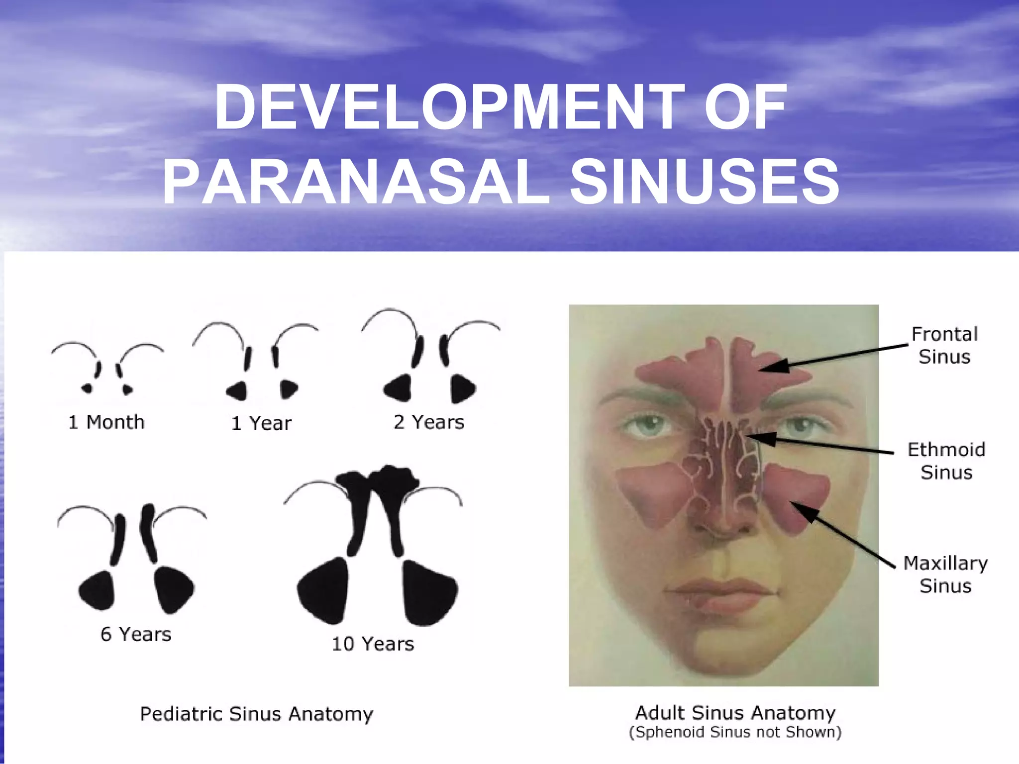 Anatomy, Physiology & Diseases of nose. Paranasal sinuses | PPT