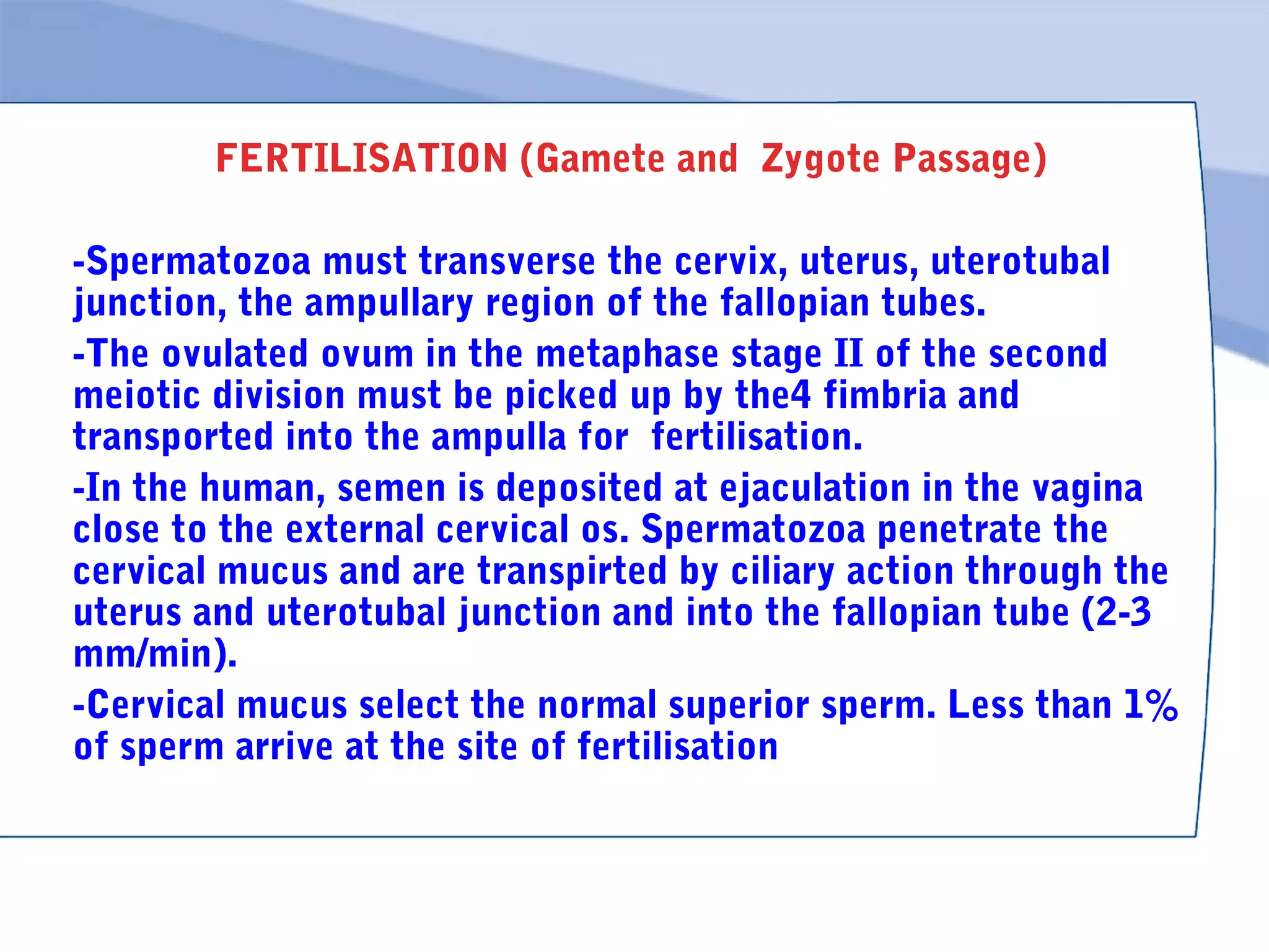 Physiology of Fertilization, Implantation, Placental & Fetal ...